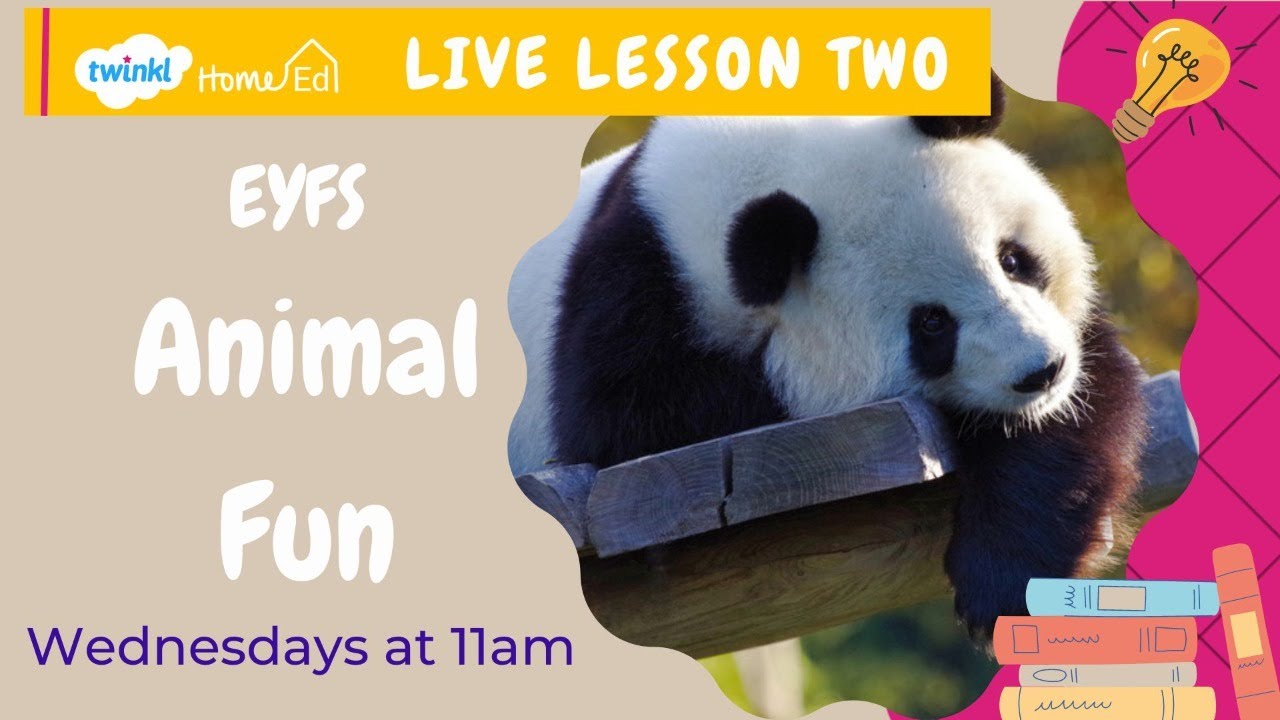 EYFS Live Lesson Two-Animal Fun - YouTube