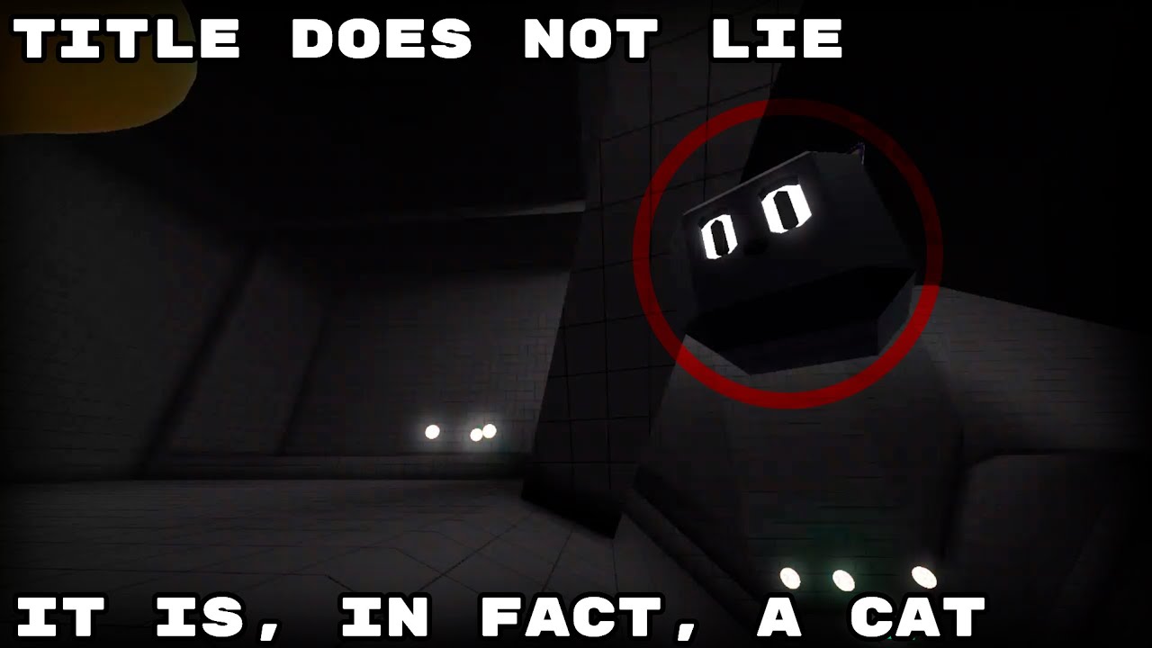 Goofy asf multiplayer game with cats (Internet Showdown playtest ...