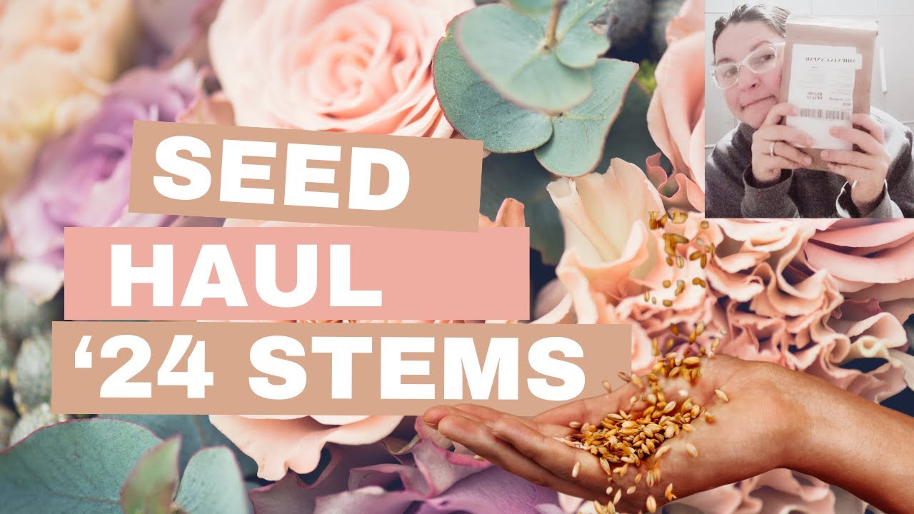 stems flower farm seeds 2024 - SEED HAUL!!! - YouTube
