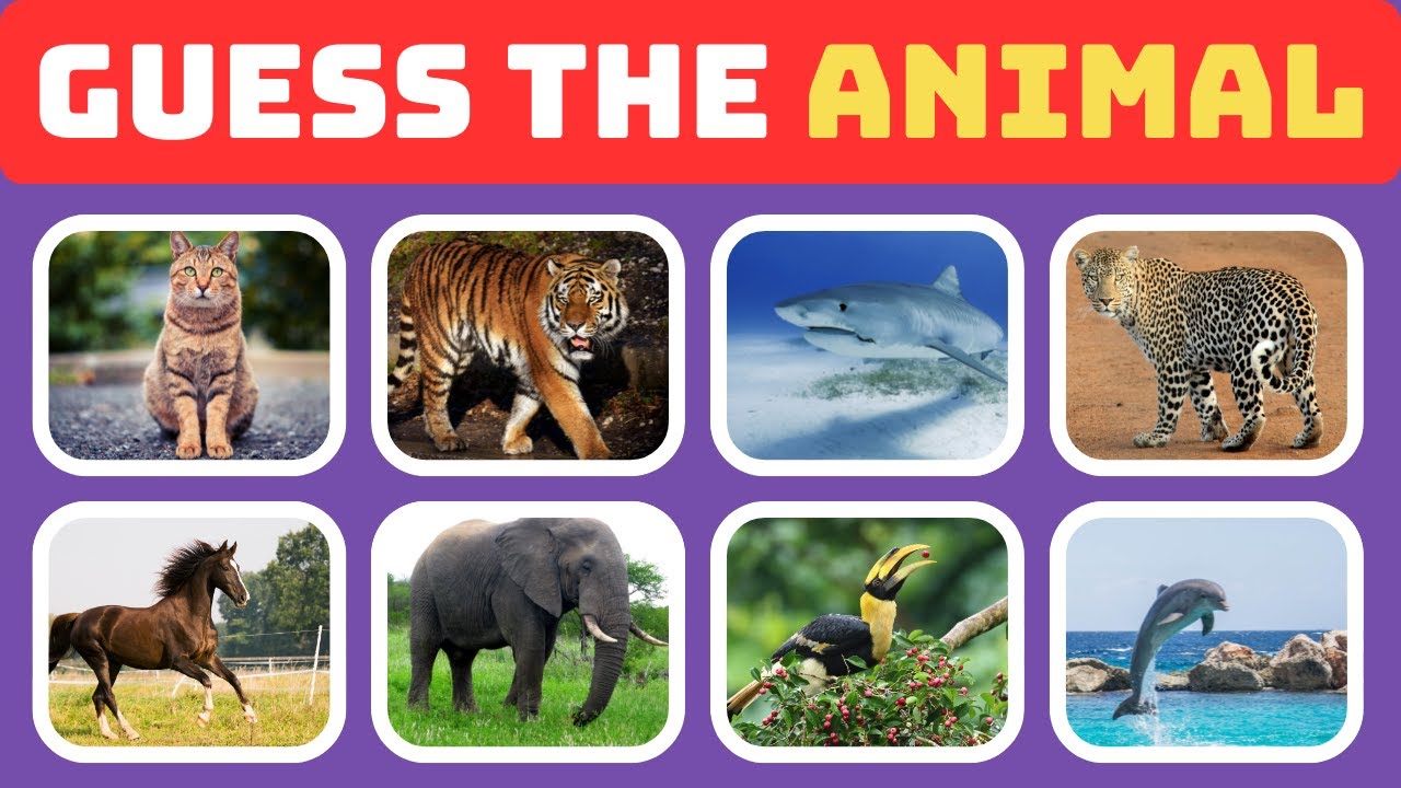Guess the Animal | Quiz | 30 Animals | 🐶🐱 EASY, MEDIUM AND HARD | Tangy ...
