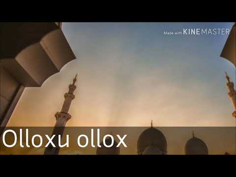 Olloxu ollox