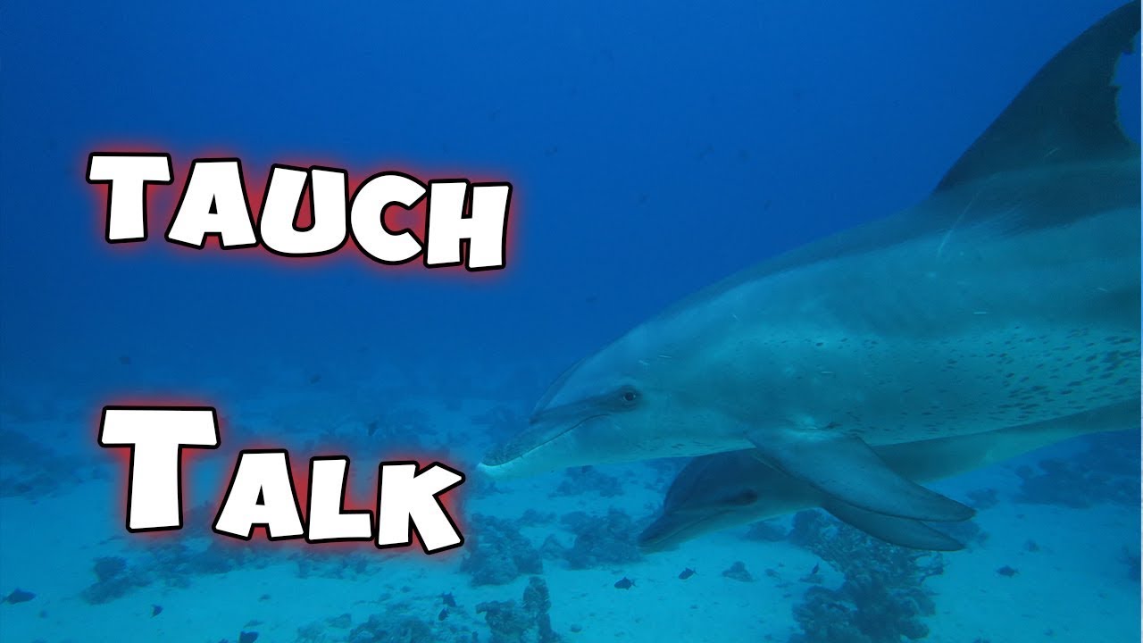 Planungen 2020 - Tauch Talk #80 - YouTube