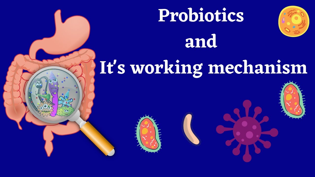 Probiotic and it's working mechanism/ fstonline/ By Sonal Chaudhari ...