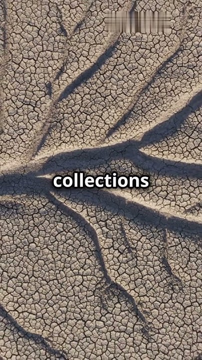 Java Lambda Expressions Explained In 60 Seconds Simplify Your Code Programming