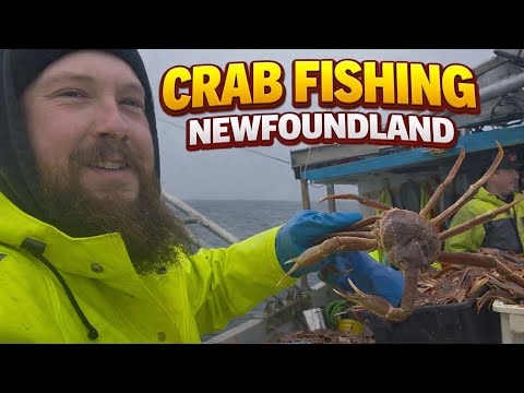 Newfoundland Snow Crab Fishing