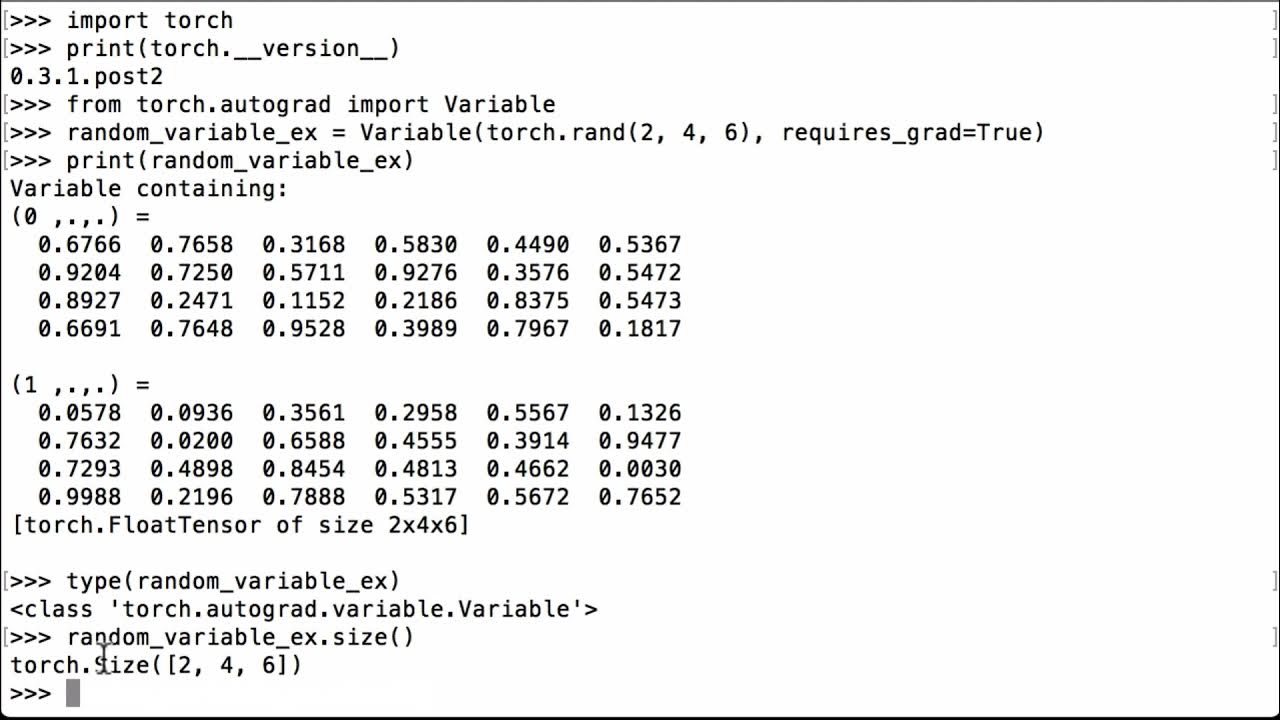 Get The Pytorch Variable Shape Pytorch Tutorial Youtube