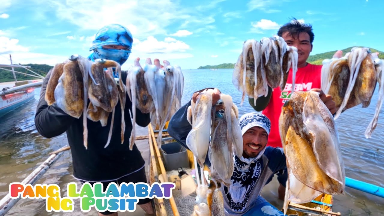 DAGSAAN TALAGA ANG AMG MGA PUSIT LOMOT PAG GALING SA BAGYO. NAKA ...