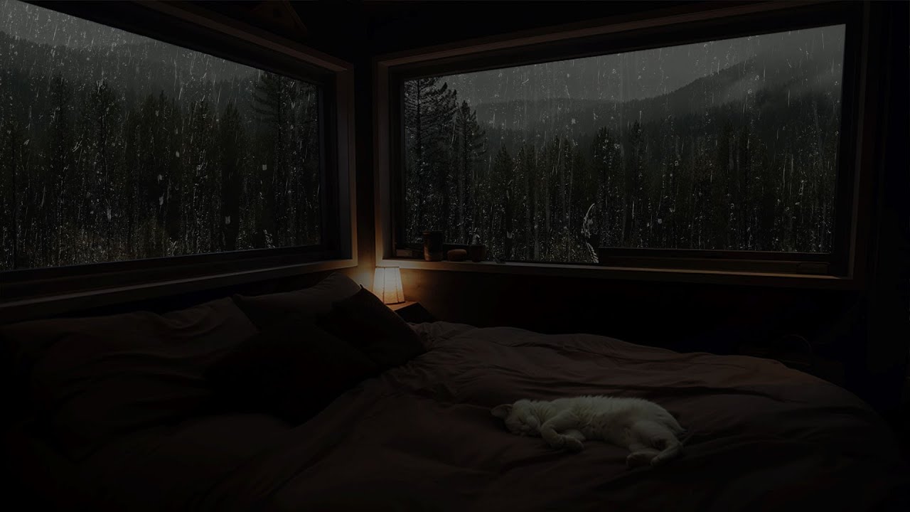 A small rain corner in the room - 창밖의 빗소리와 아늑한 분위기 - YouTube