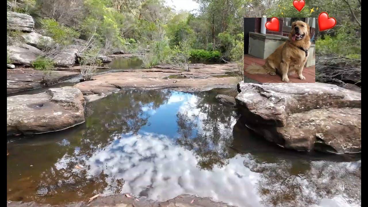 ASMR: Waterfall walks to Heathcote, NSW - YouTube