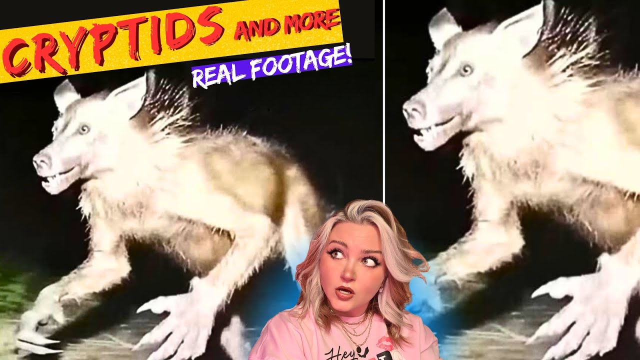 EERILY Terrifying & Mysterious CRYPTIDS Caught On Camera *CREEPY ...