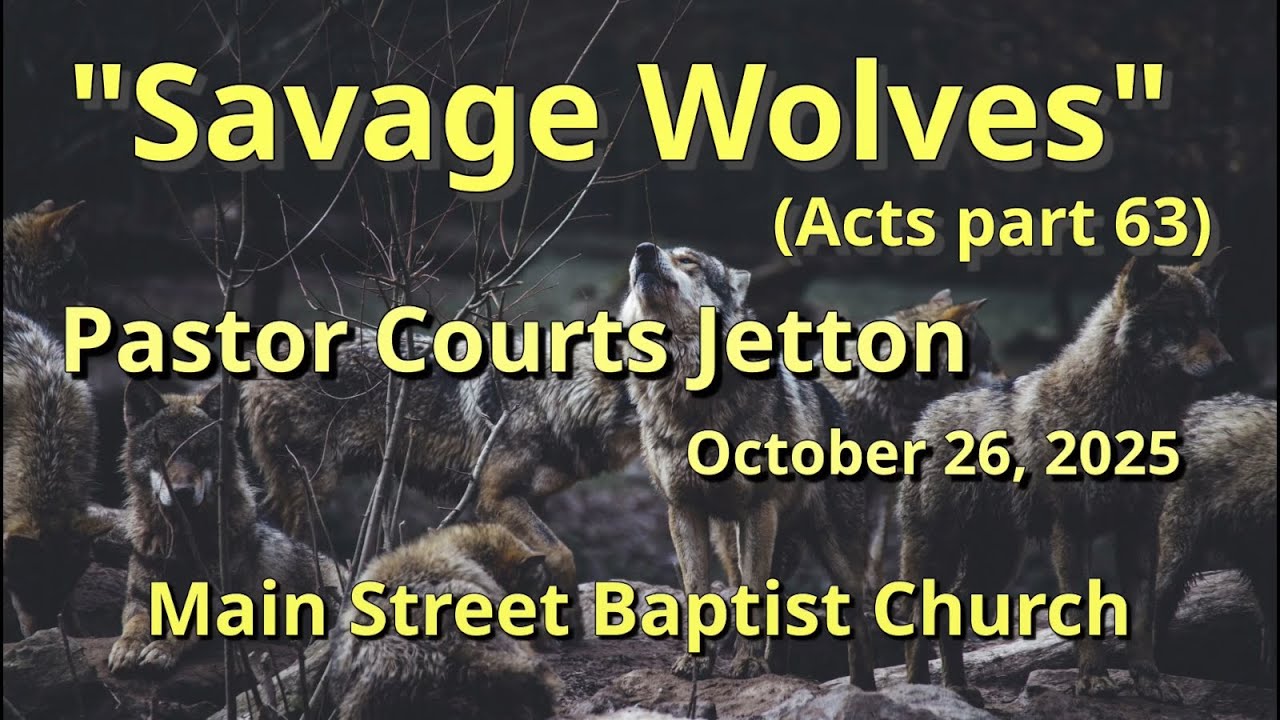 "Take Heed to Yourself Because of Savage Wolves (Acts Part 63)" - YouTube