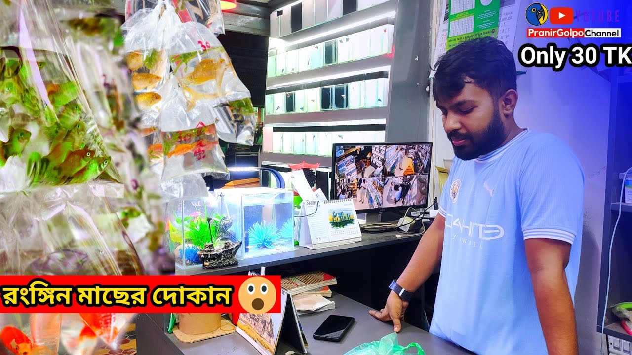 25 টাকায় 🔥মাছ ও অ্যাকুরিয়াম কিনুন | aquarium fish price in bangladesh ...
