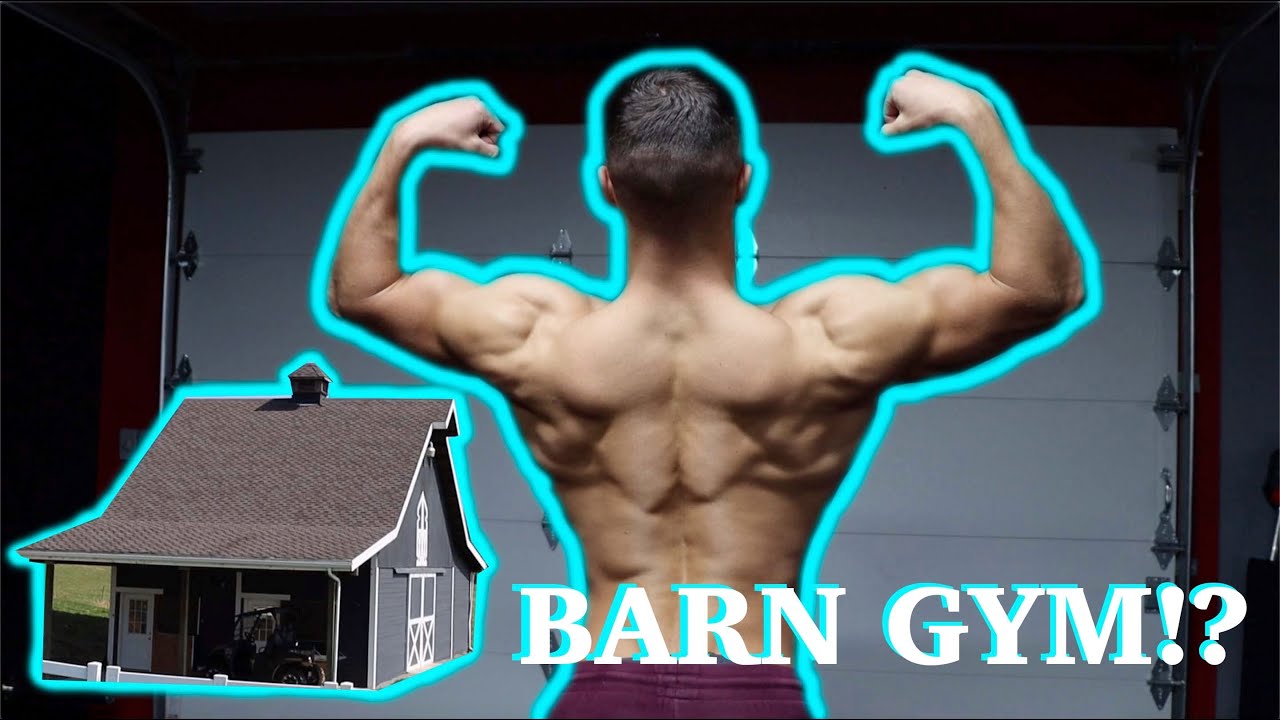 BACK AND BIS IN THE BARN GYM!! - YouTube