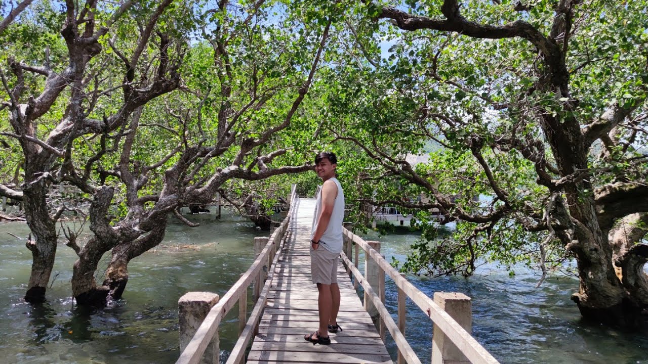 INSTAGRAMMABLE!!! Katunggan Mangrove Park + Going Back to Bohol ...