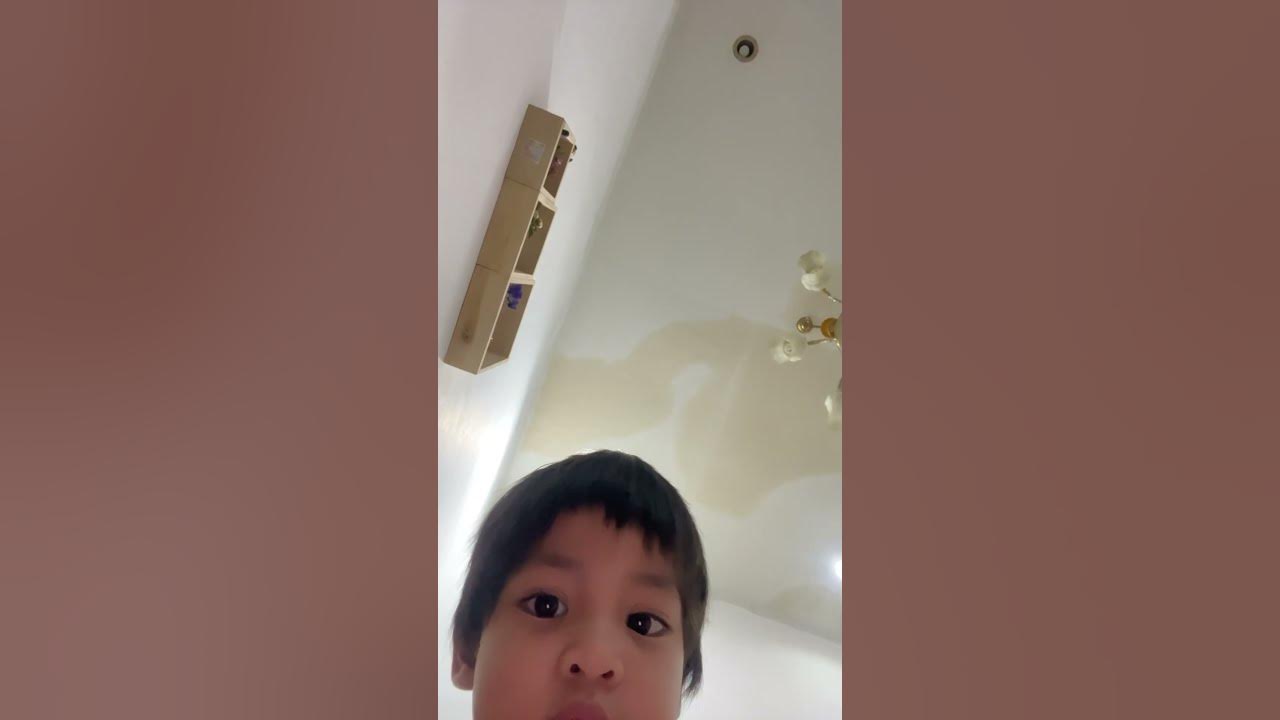 24 January 2025 - YouTube