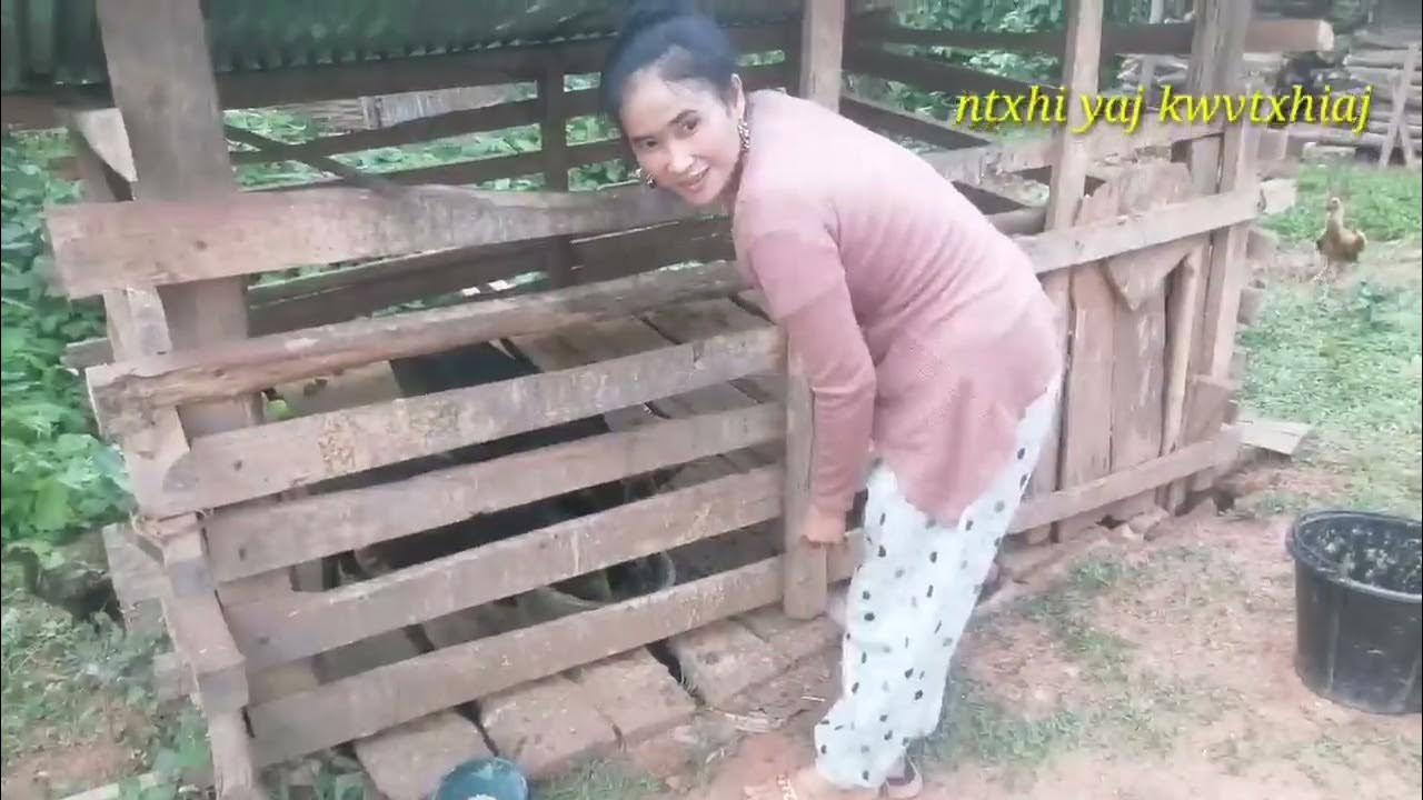 hnub no wb Niam Kom wb Los tsev ua neeb rau wb no ces wb Los mus ua neeb lawm nawb 12 05 2023 ...