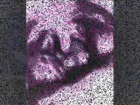 BACKNEE HORN - Exhale Inside a Shell - YouTube