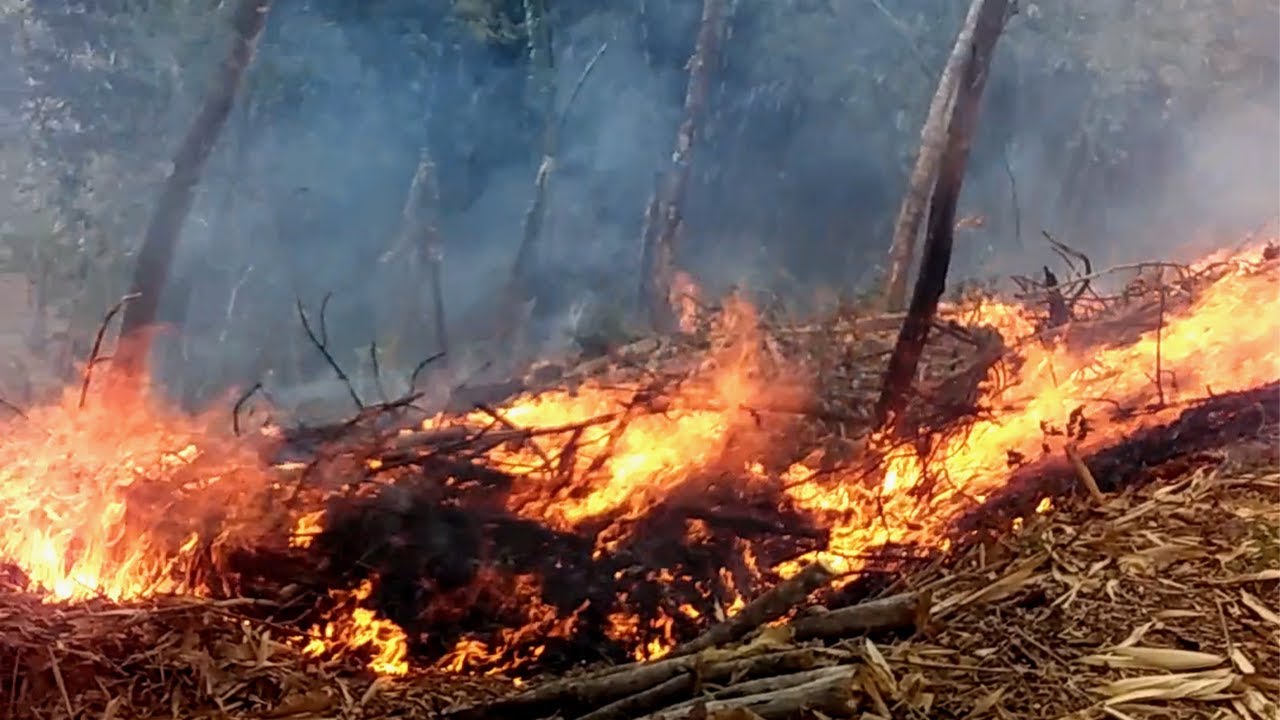 THE VOICE WAS THUNDEROUS LIKE A GUNSHOT - Burning bamboo piles for ...
