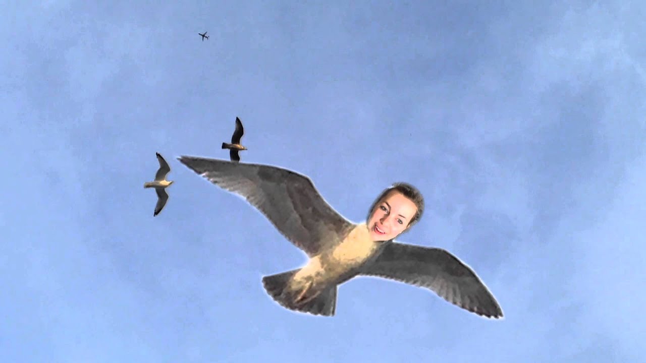 A HUMAN BIRD! - YouTube