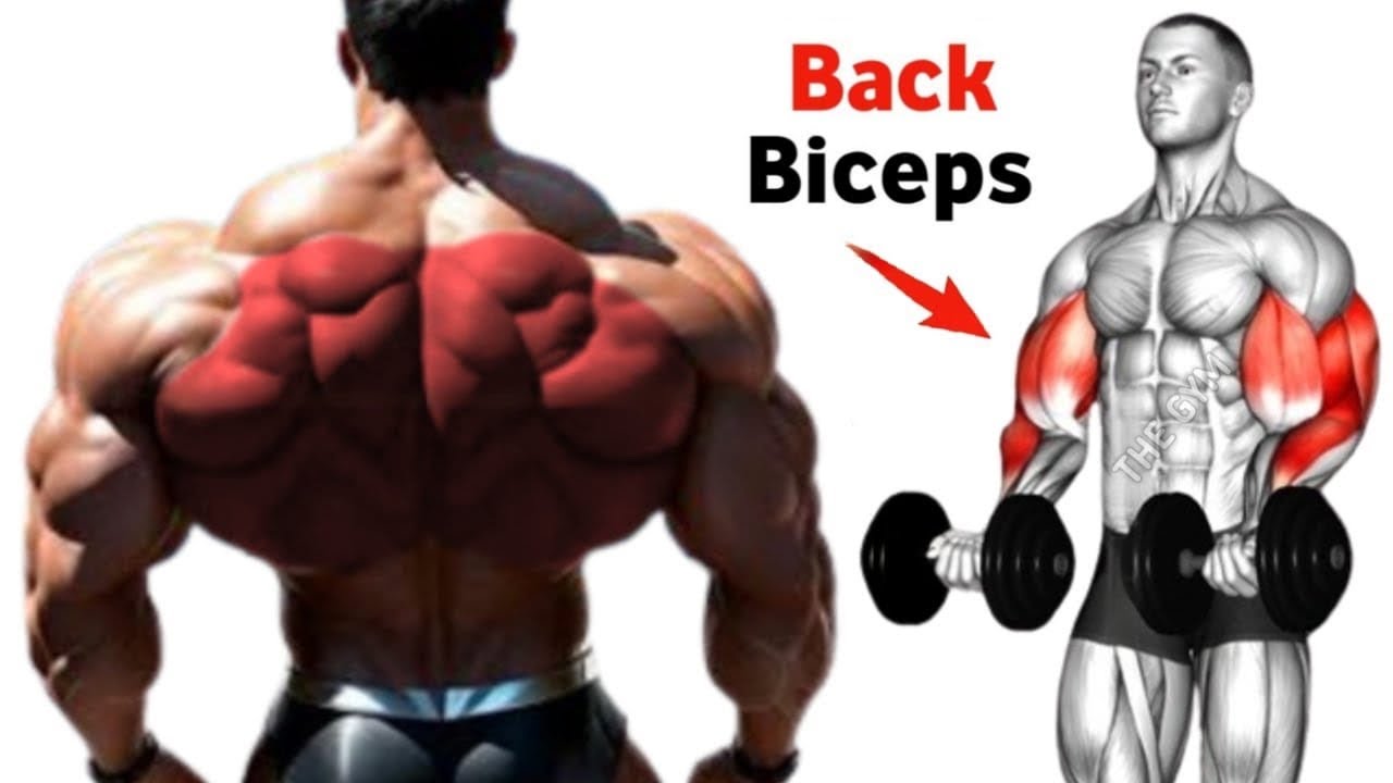 Back & Biceps Blast: Gain Muscle Fast! - YouTube