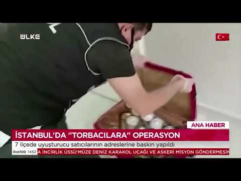 SİHİRLİ MANTARLAR PİYASAYA SÜRÜLMEDEN ELE GEÇİRİLDİ