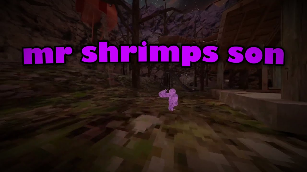 lidoly mr shrimps son!!@Po_Gtag @DaRealMistyOfficial@STUP1DK1DTHE1ST ...