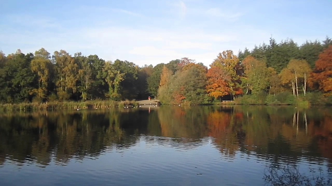 Stover Country Park Devon - Autumn - YouTube