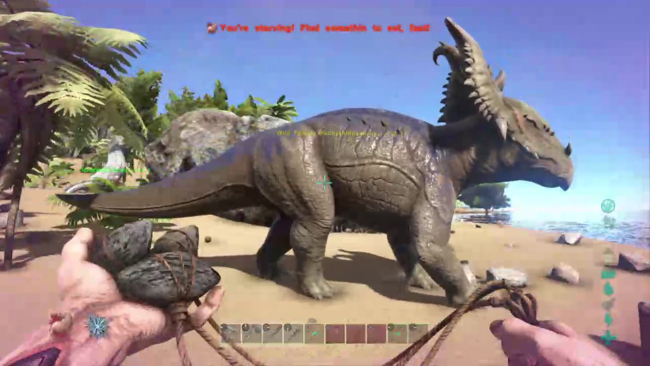 Ark - YouTube