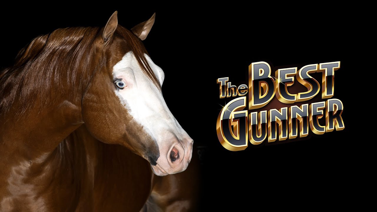 Garanhão THE BEST GUNNER - YouTube