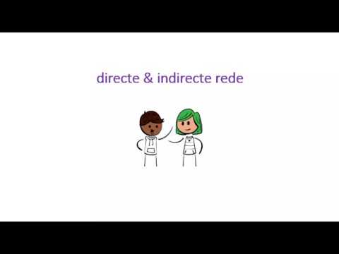 taal groep 7 directe en indirecte rede - YouTube
