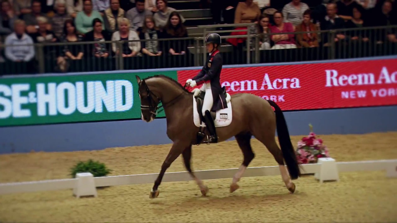 MASTER Valegro Tribute - YouTube