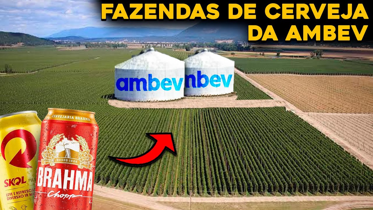 CONHEÇA AS FAZENDAS DE CERVEJA DA AMBEV - INACREDITÁVEL! - YouTube