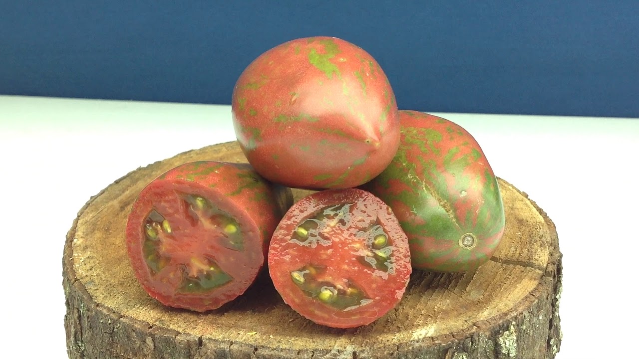 Tomato Review Sweet Tooth Tomato Perfect For Salads, Sauces, Snacking ...