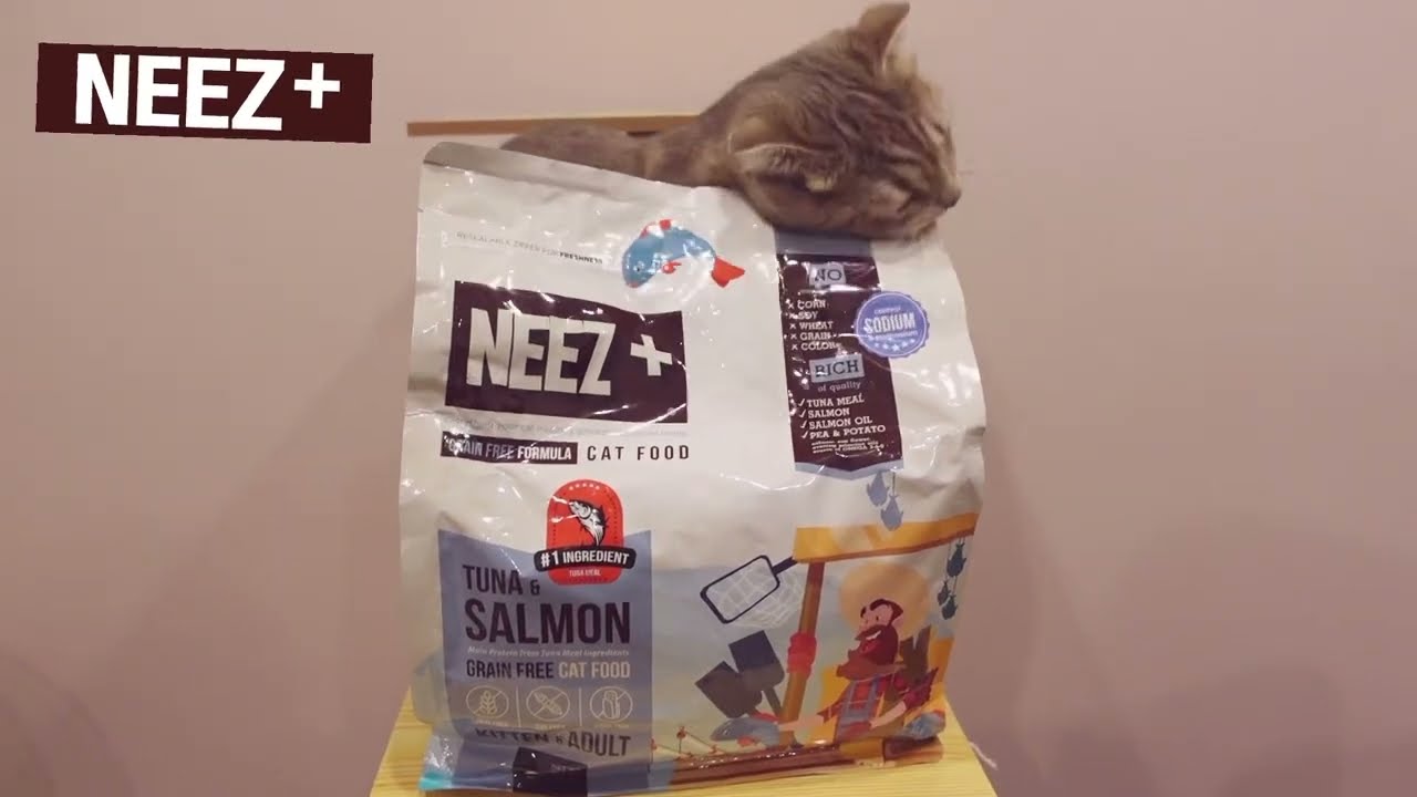 อาหารแมว NEEZ+ Tuna&Salmon Grain Free Holistic - YouTube