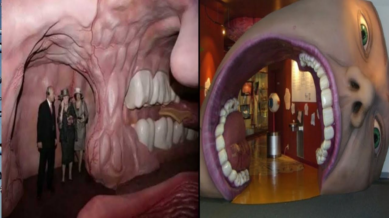 Corpus Museum. Your only chance to see your body from the inside - YouTube