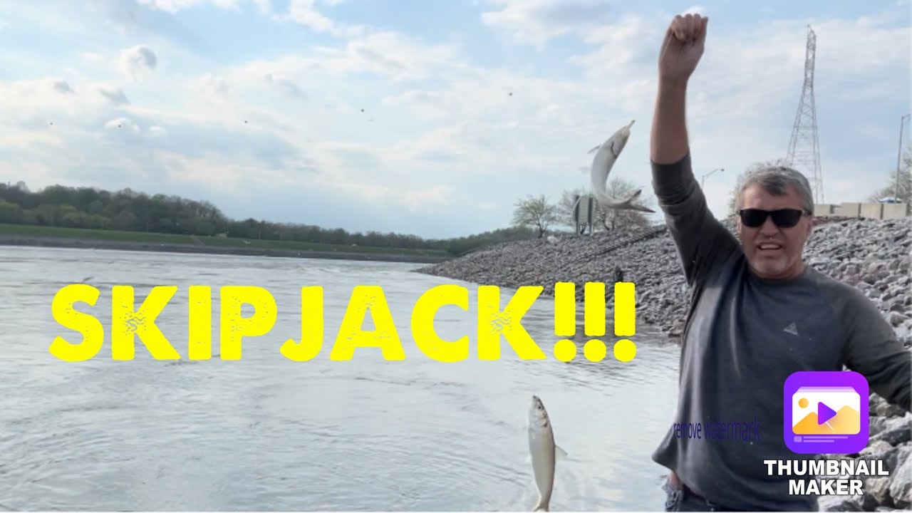 Skipjack Update at Barkley Dam 4-11-24 - YouTube