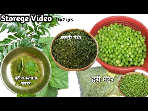 Homemade Mint & Curry Leaf Powder - Easy & Healthy Recipes/ हरे मटर को ...