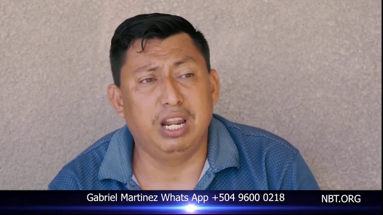 NBT Live Stream - YouTube