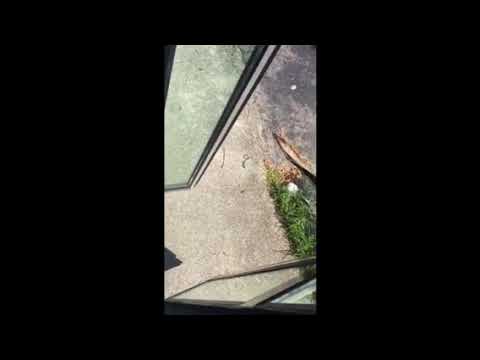 2018 Bluebird vision (door slam) - YouTube