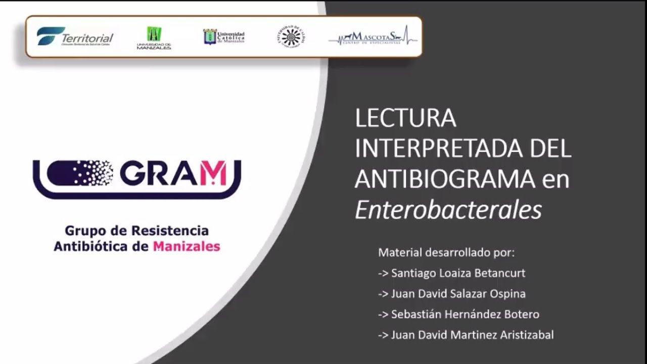 Lectura Interpretada del Antibiograma en Enterobacterales - YouTube