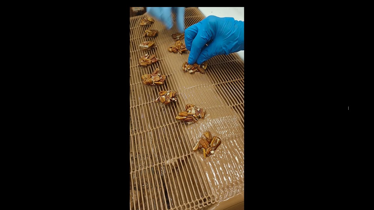 Pecanettes (Pecan Caramel Custers) on Enrober Pre-Bottomer - YouTube