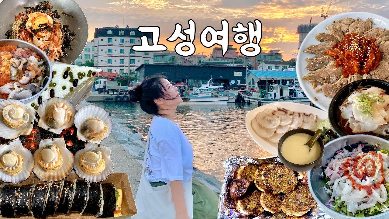 고성 여행 먹방 브이로그 맛집 뿌시기🐙 가리비 수육 동동주 문어국밥 오징어순대 막국수 물회 회덮밥 술빵 문어초회 참치김밥 Mukbang Vlog Youtube