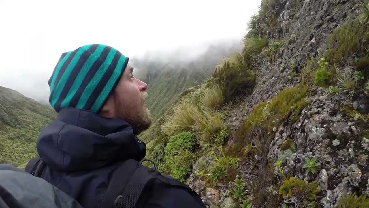 Tararua Tramping - GoPro Hero3+ Pack Mounted Cam Footage - YouTube