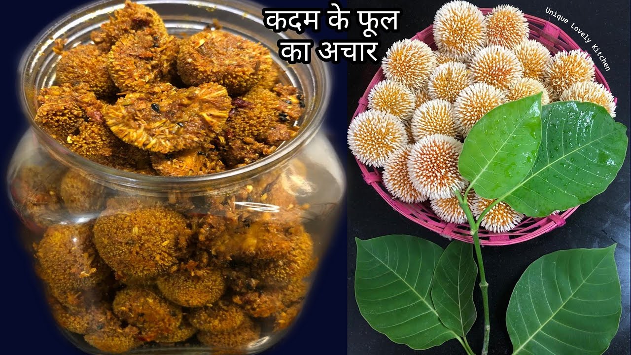 क्या आपने कभी कदम के फूल की रेसिपी ट्राई कीया है ? Have you ever try ...