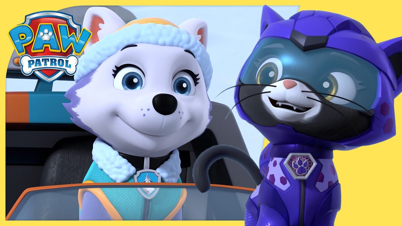 Skye and Rory Team Up +MORE 😸 🎨| PAW Patrol | Cartoons for Kids - YouTube