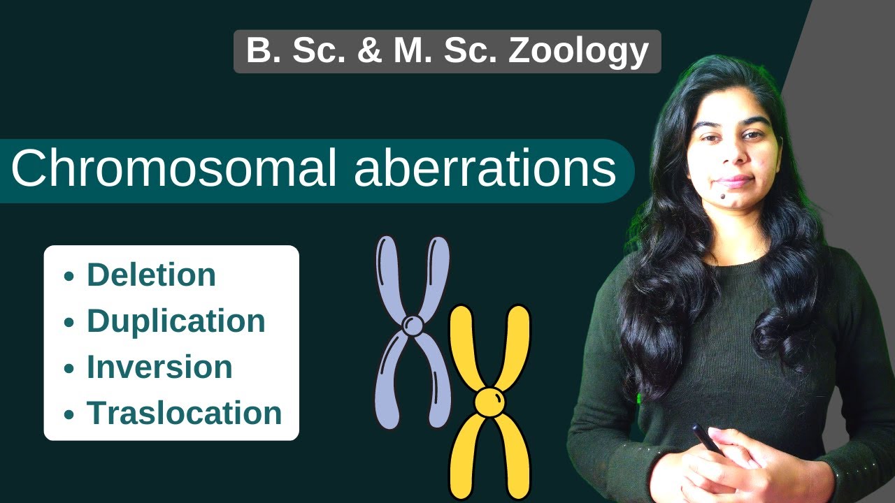 Chromosomal aberrations II B. Sc. Ist Year II Zoology - YouTube