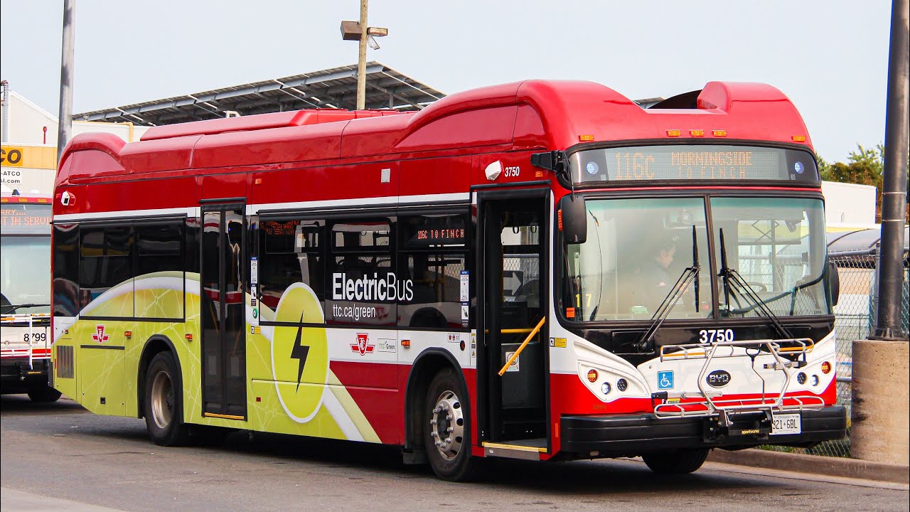 (Ride Video) TTC BYD Auto K-9 3750 on route 116 Morningside! - YouTube