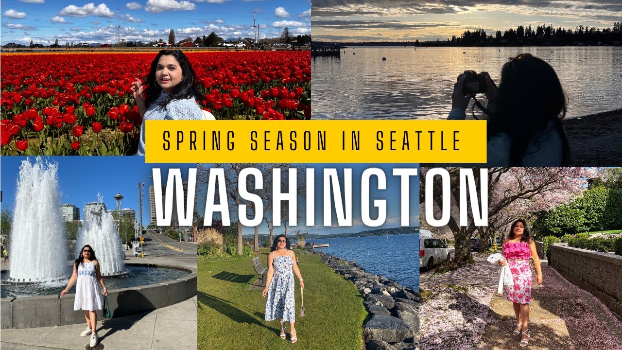 Spring Season in Seattle Washington,USA #spring2024 #seattle #usa # ...