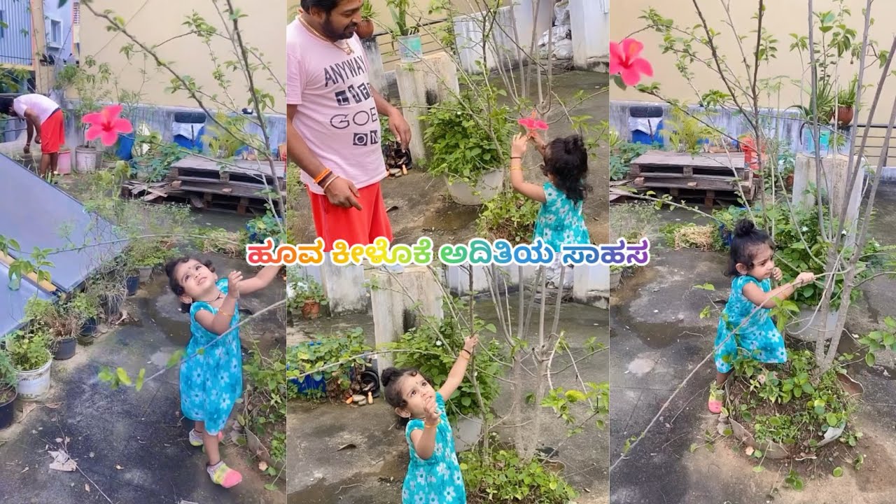 ಹೂವ ಕೀಳೊಕೆ ಅದಿತಿಯ ಸಾಹಸ #adithimurthy - YouTube