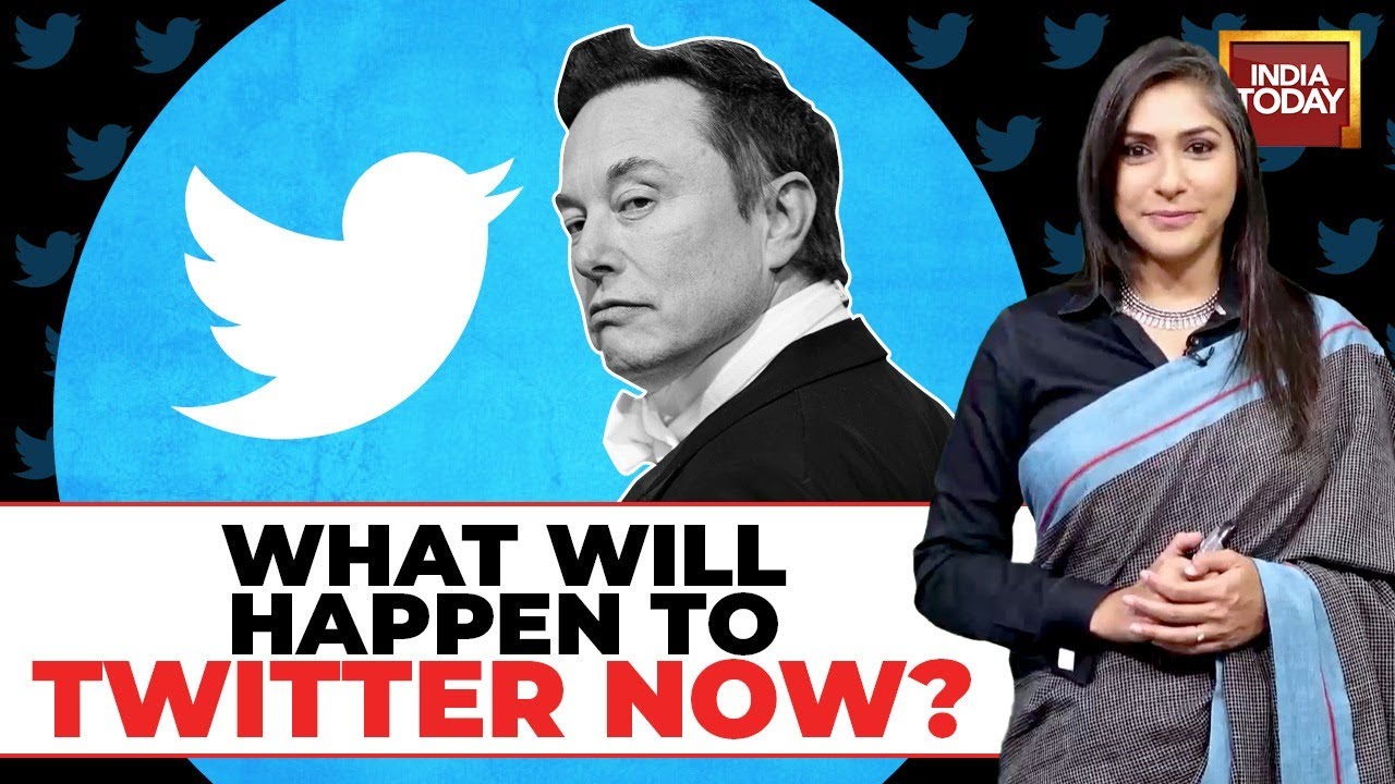Day 1 Of Elon Musk As Twitter Chief: Top Brass Fired, 'Bird Freed ...